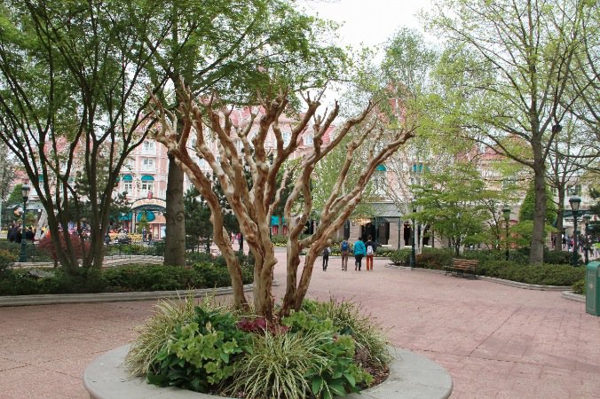 Designing the Disneyland Paris Fantasia Gardens - Designing Disney