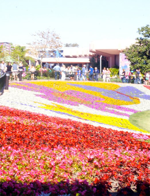 Creating Disney Magic – Landscape Architecture - Designing Disney