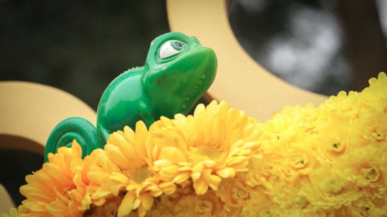 Swing into Spring at Disneyland Paris – Photo Report - Designing Disney